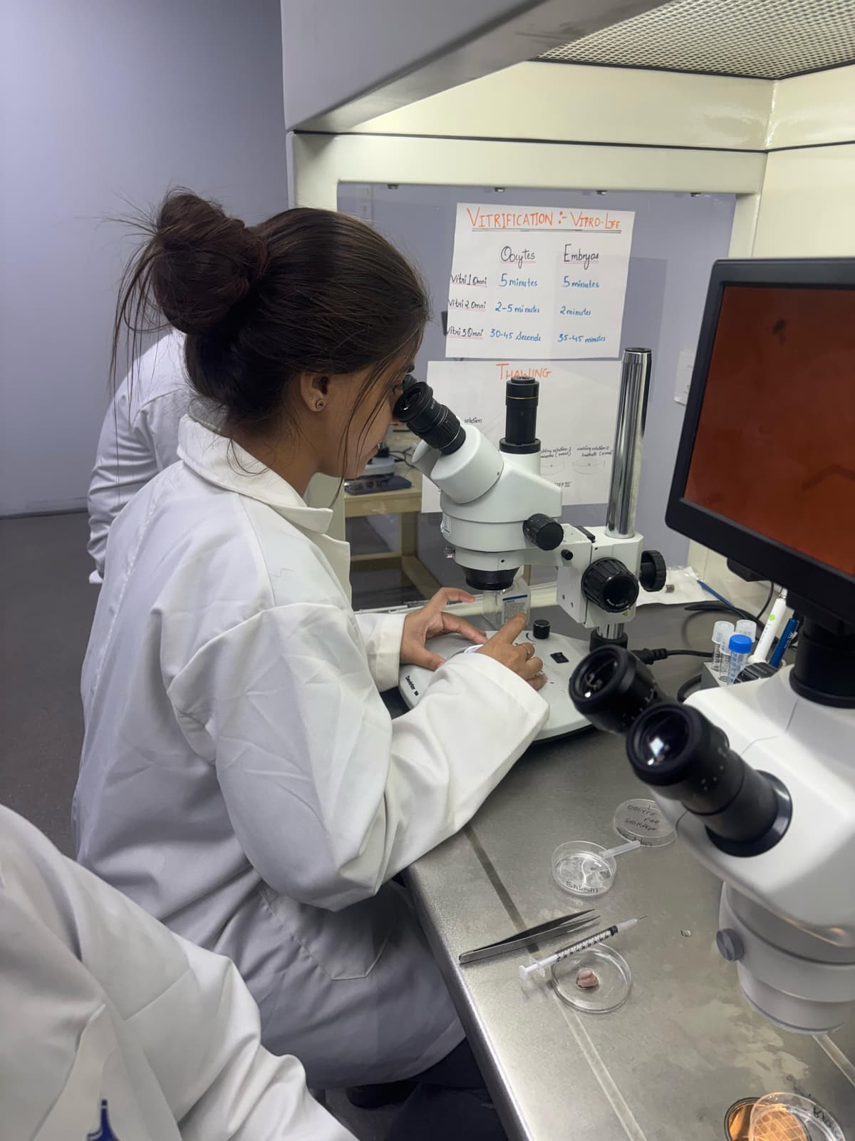 Top Clinical Embryology Courses in India, Delhi NCR: SEART