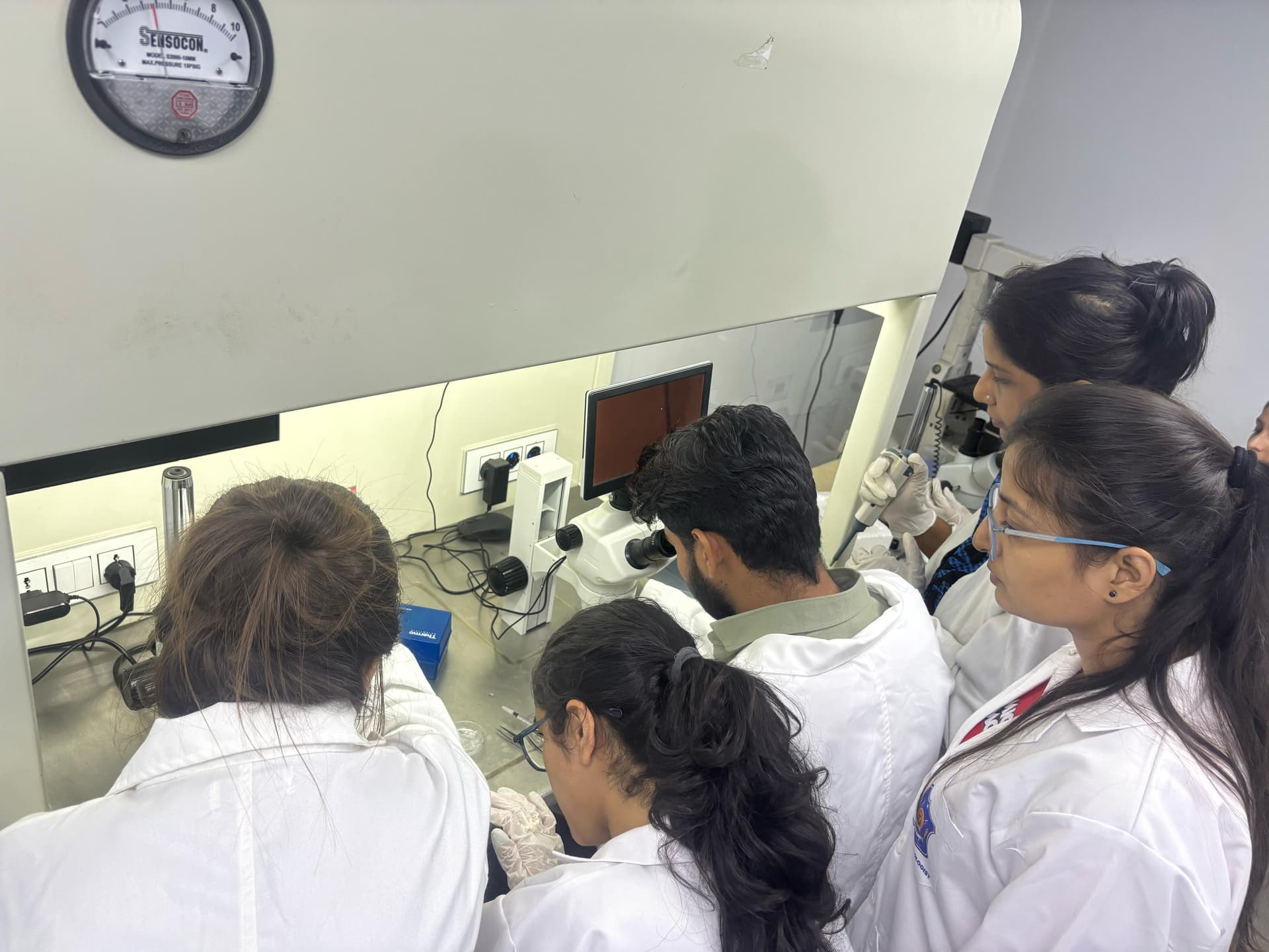 MSc Clinical Embryology | Master's Program in Embryology