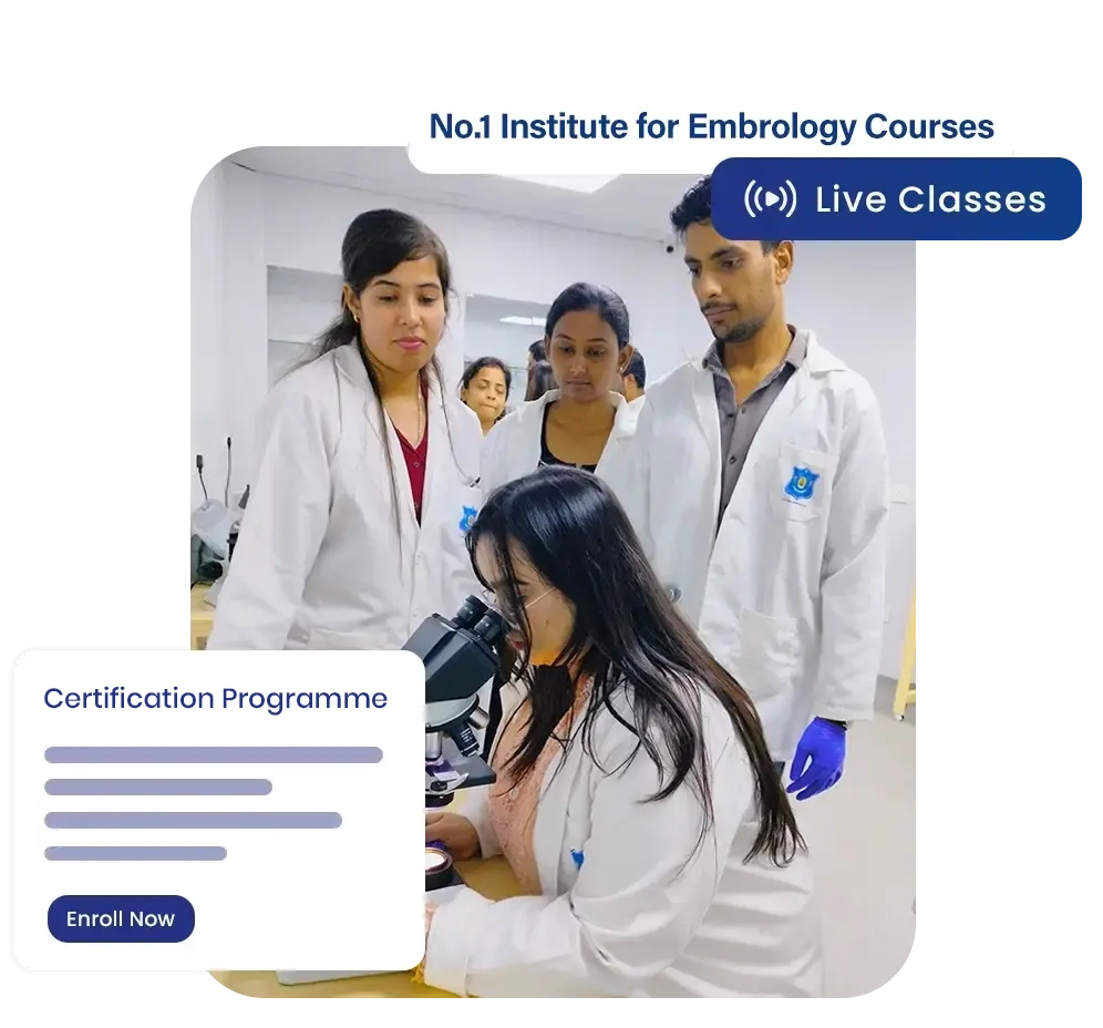 Top Clinical Embryology Courses in India, Delhi NCR: SEART