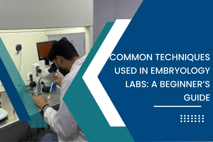 Beginner’s Guide to Common Embryology Lab Techniques